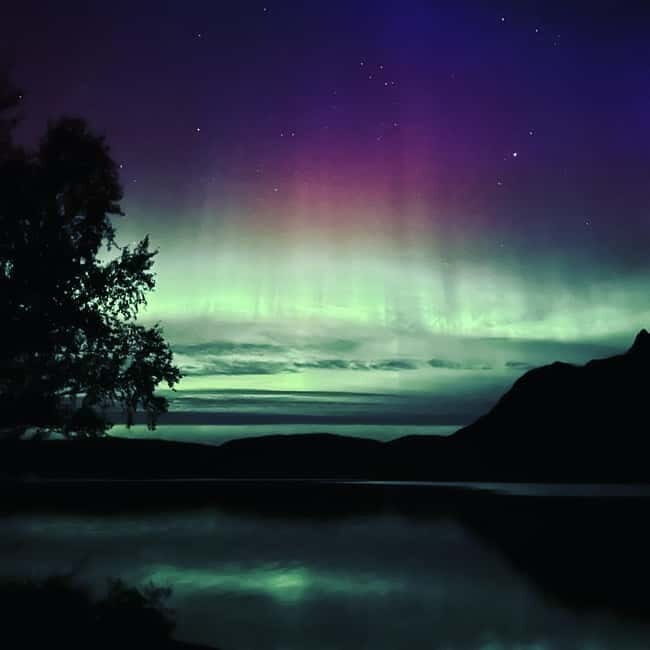 Harstad/Narvik: Northern Lights Tours with second day chance - Key Points