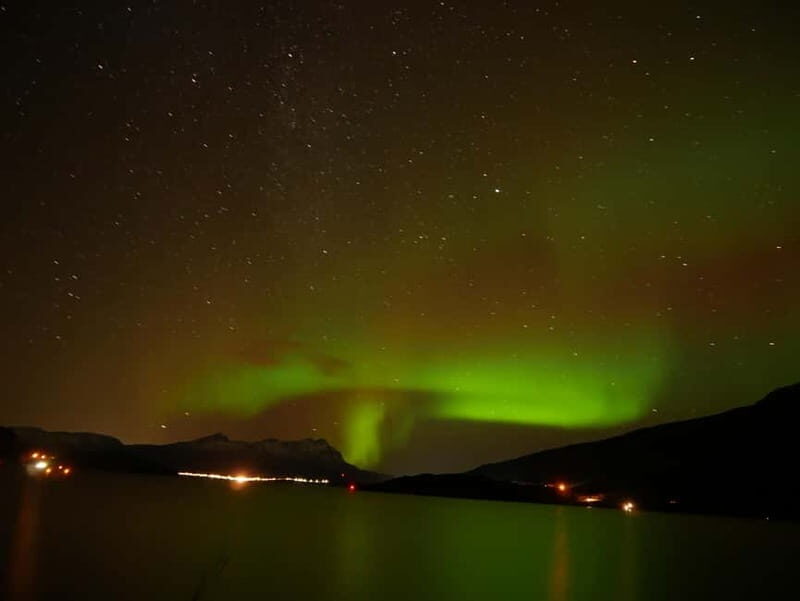 Harstad/Narvik: Northern Lights Tours with second day chance - The Real Experience: Testimonials and Authentic Insights