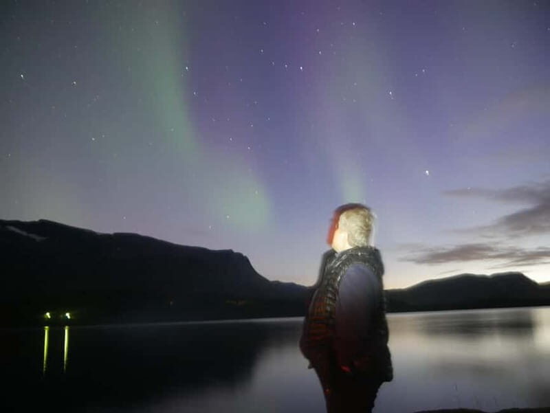 Harstad/Narvik: Northern Lights Tours with second day chance - Who Will Love This Tour?