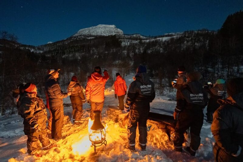 Harstad: Northern Lights Hunt on Hinnøya Island - Key Points