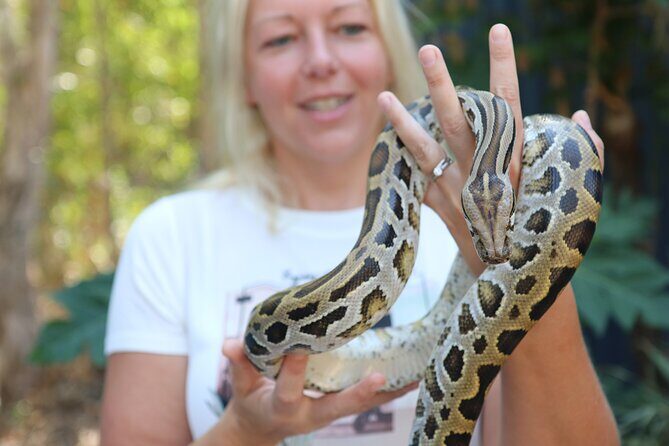 Hartley Crocodile Park with Kuranda, Skyrail Cableway and Train - The Sum Up