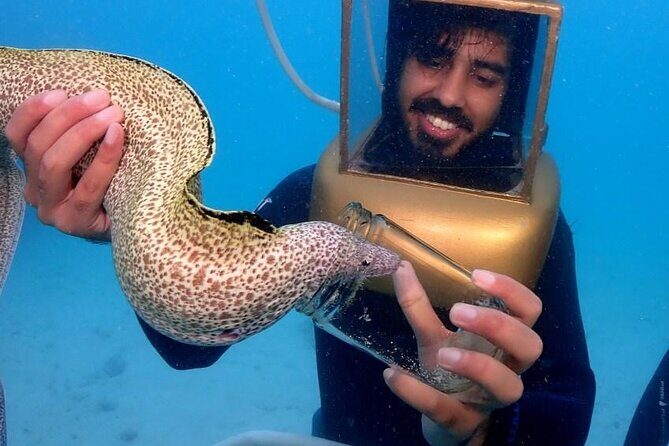 Hartley Helmet Diving in Bermuda - Equipment and Comfort