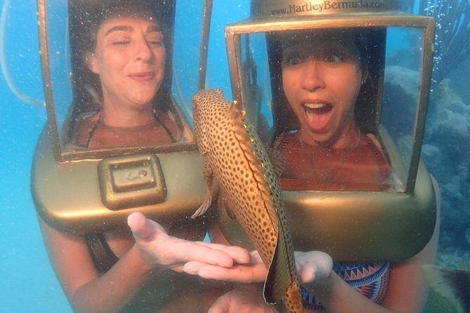 Hartley Helmet Diving in Bermuda - The Value Proposition