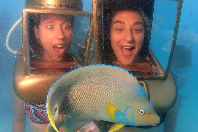 Hartley Helmet Diving in Bermuda - Who Will Love This?