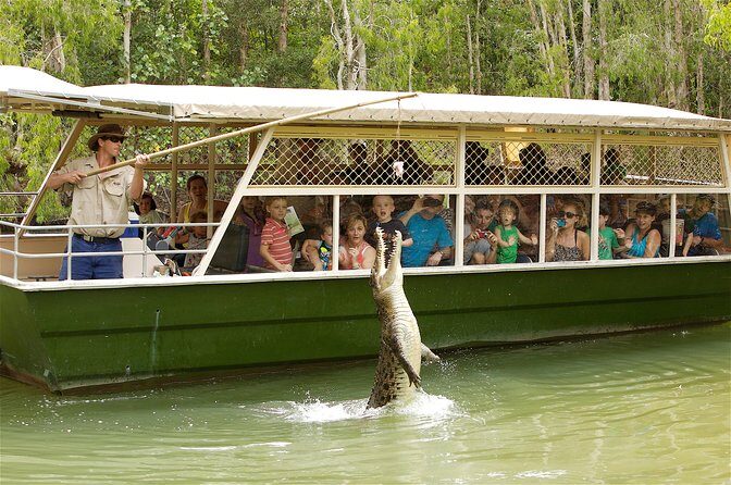 Hartleys Crocodile Adventures Half-Day Tour from Cairns - Key Points