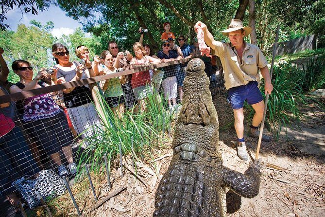 Hartleys Crocodile Adventures Half-Day Tour from Cairns - Authentic Encounters and Why They Matter