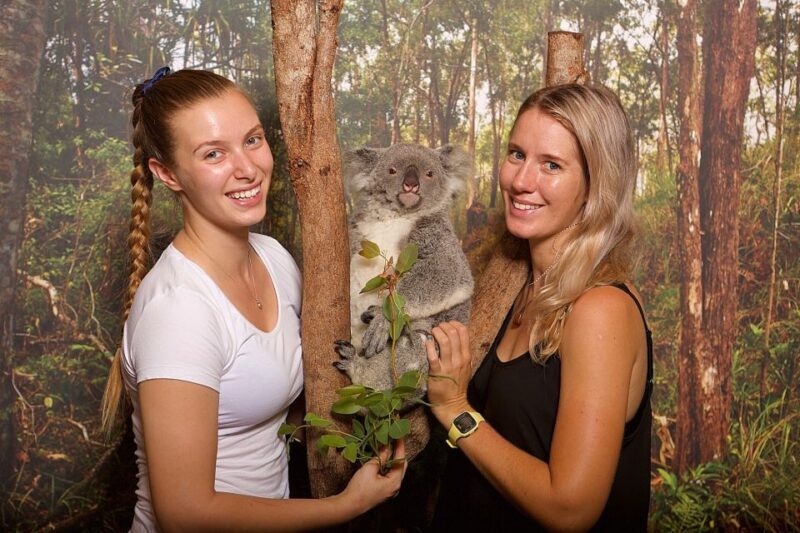 Hartley's Crocodile Adventures: Hartley's Koala Breakfast - Key Points