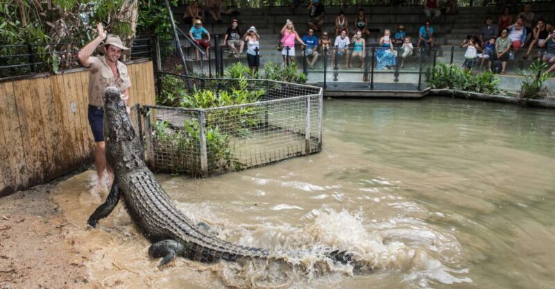 Hartley's Crocodile Adventures Park Entry - Final Thoughts