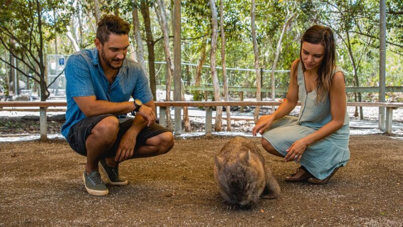 Hartley's Crocodile Adventures: Zootastic 5 + Entry Ticket - Key Points