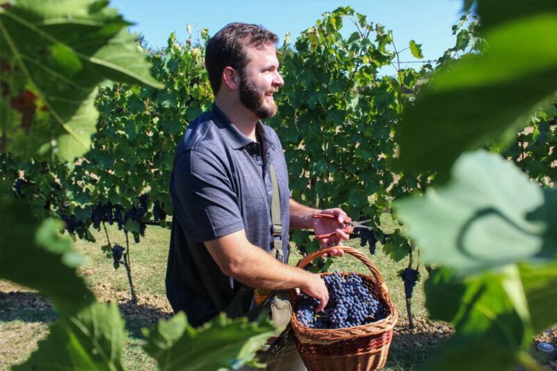 Harvest, Stomping & Tours - Who Will Love This Tour?