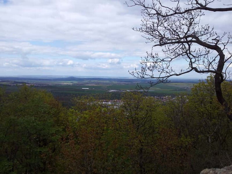 Harz Mountains Day Trip - What Makes This Tour Stand Out?
