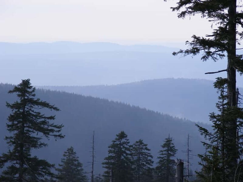Harz Mountains Day Trip - Transportation and Group Size