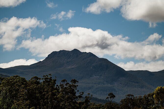 Hastings Caves, Tahune Airwalk and the Huon Tasting Trail - Final Thoughts: Who Will Love This Tour?
