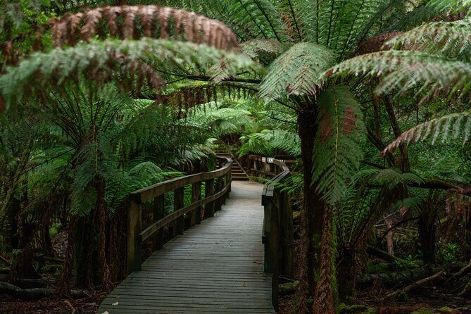 Hastings Caves, Tahune Airwalk and the Huon Tasting Trail - FAQs