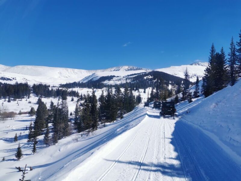 Hatcher Pass: Heated & Enclosed ATV Tours - Open All Year! - Downsides & Considerations