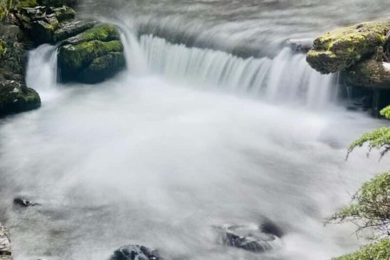 Hatcher Pass & Reindeer Adventure Tour  Anchorage Pickup - The Itinerary and Key Stops