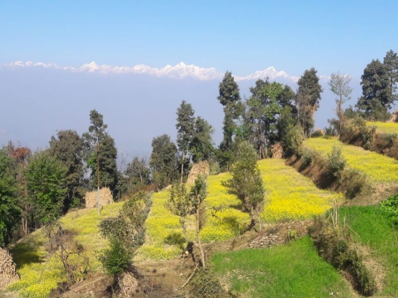 Hattiban - Champadevi: Day Hiking Tour - Detailed Review of the Hattiban - Champadevi Day Hike