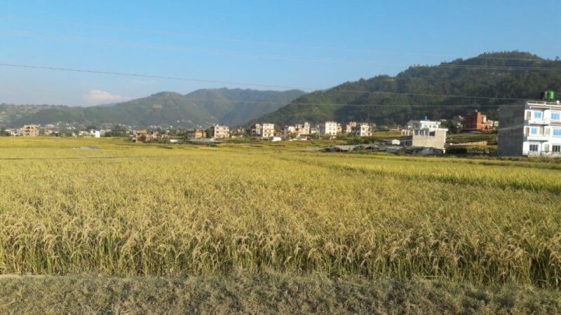 Hattiban - Champadevi: Day Hiking Tour - Final Thoughts