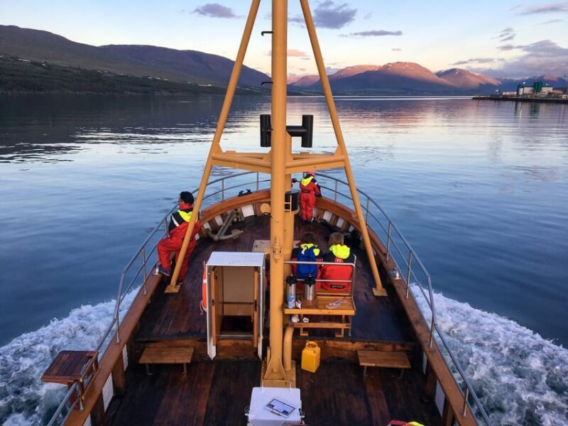 Hauganes: Whale Watching North Iceland - The Experience of the Guides and Equipment