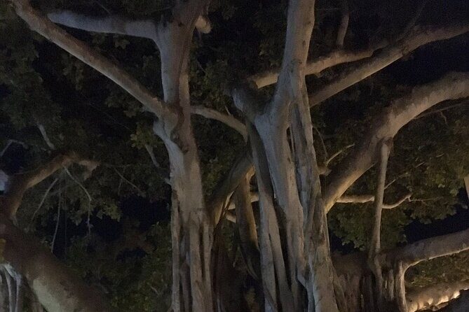 Haunted History of Fort Myers Walking Tour - Final Thoughts: Who Should Book?