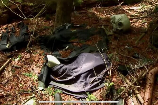 Haunted Hospital for Bravest Ghost Hunters & Forest of Silence - Key Points