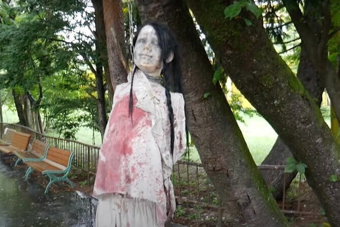 Haunted Hospital for Bravest Ghost Hunters & Forest of Silence - What Travelers Say and Why It Matters