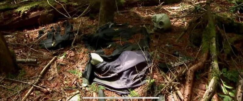 Haunted Hospital for Bravest Ghost Hunters & Silent Forest - Key Points