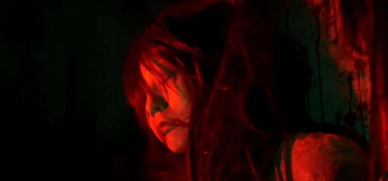 Haunted Hospital for Bravest Ghost Hunters & Silent Forest - Starting With the Itinerary: From Tokyo to the Haunted Forest