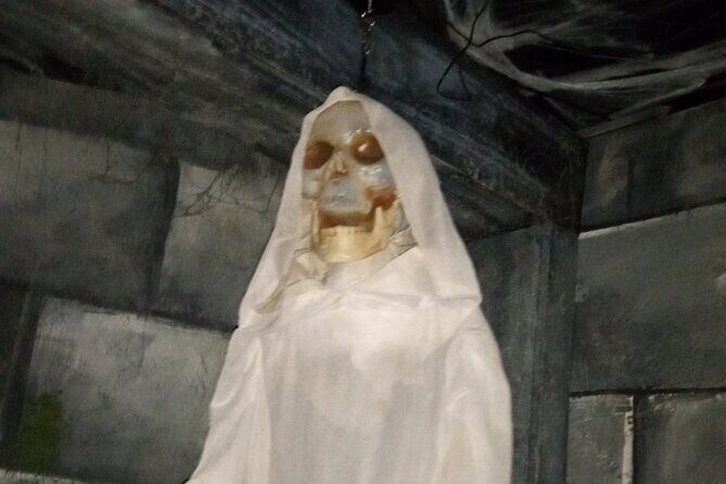 Haunted Mayfield Manor Haunted House Admission - What Past Visitors Say