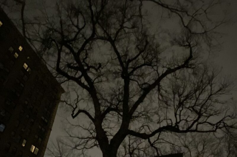 Haunted Village of New York City walking tour - Key Points