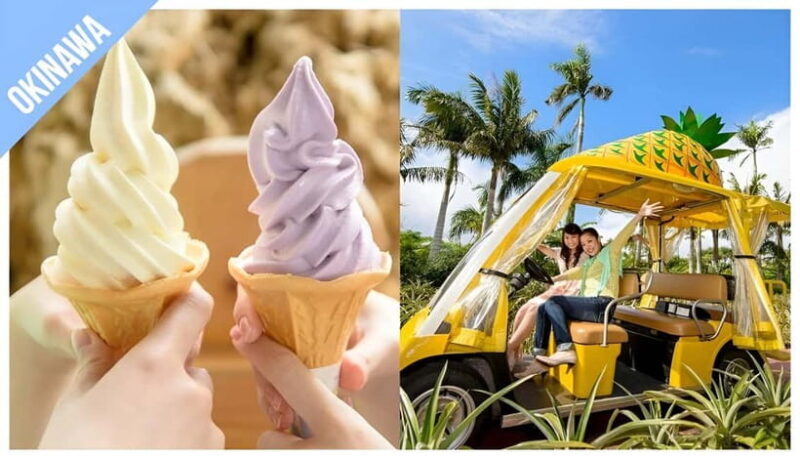 Have Fun in OKINAWA Pass (1 Week Free Pass) - Authenticity, Value, and Traveler Tips