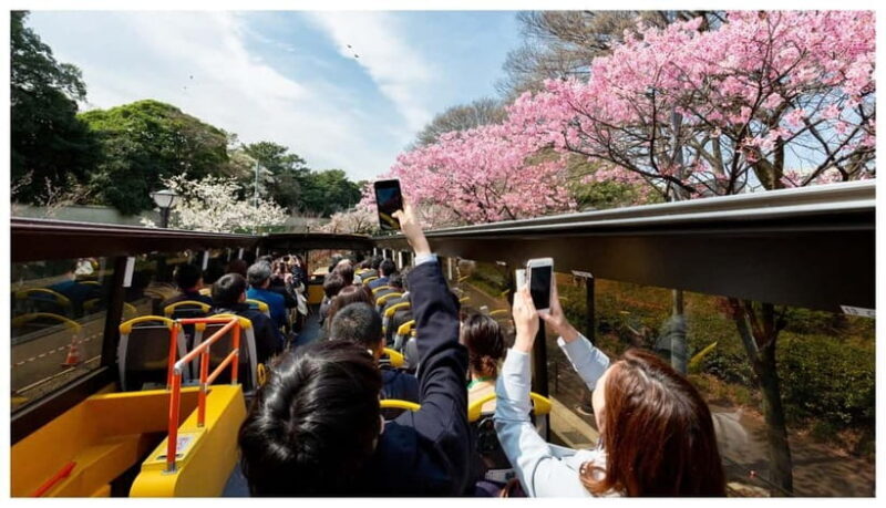 Have Fun in TOKYO Pass (1 Week Free Pass) - A Closer Look at the Itinerary and Attractions