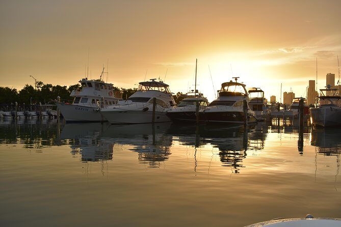 Have the best time in Miami aboard our SeaRay - The Itinerary: What to Expect