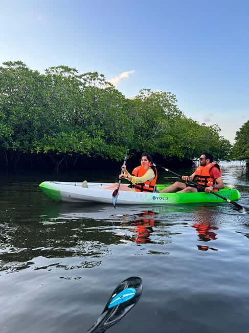 Havelock: Bioluminescence and Mangrove Kayaking Tour - Why This Tour Is a Great Value