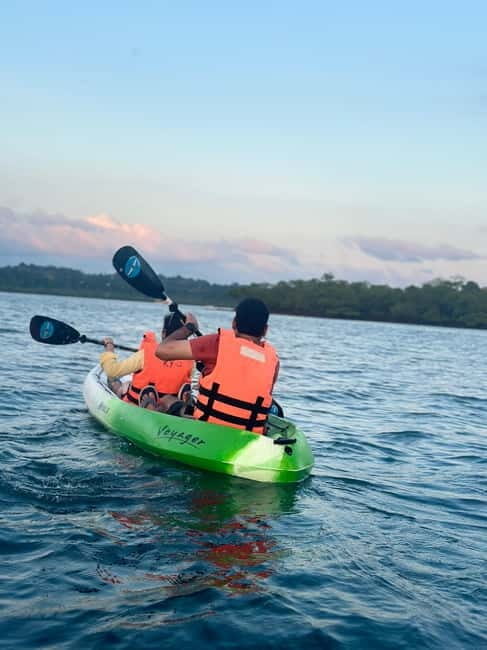 Havelock: Bioluminescence and Mangrove Kayaking Tour - FAQs