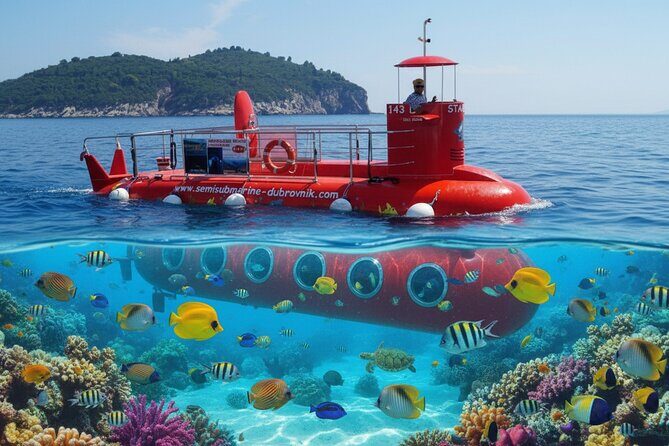 Havelock Coral Experience: Semi-Submarine and Radhanagar Beach - Key Points