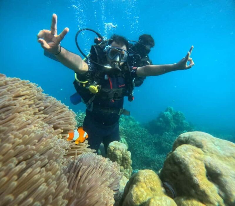 Havelock Island: Tribe Gate Boat Dive with Instructor - Key Points