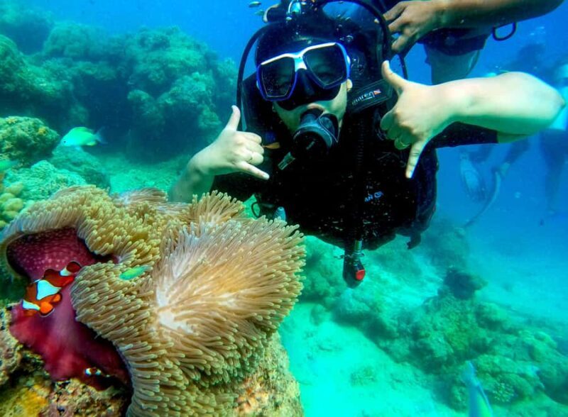 Havelock Island: Tribe Gate Boat Dive with Instructor - An Introduction to the Trip