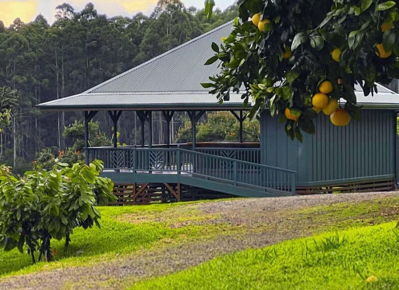 Hawaii: 10 Bar Chocolate Tasting & History of Chocolate - Key Points