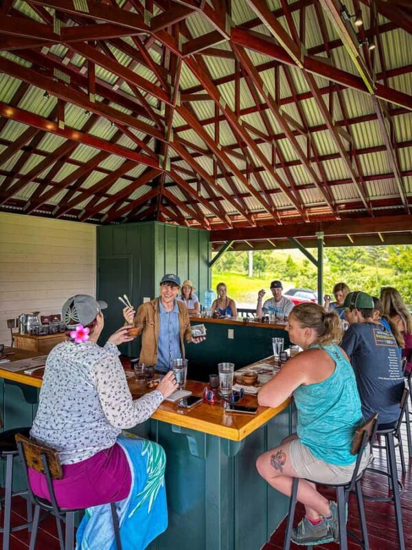 Hawaii: 10 Bar Chocolate Tasting & History of Chocolate - Practical Details and Logistics