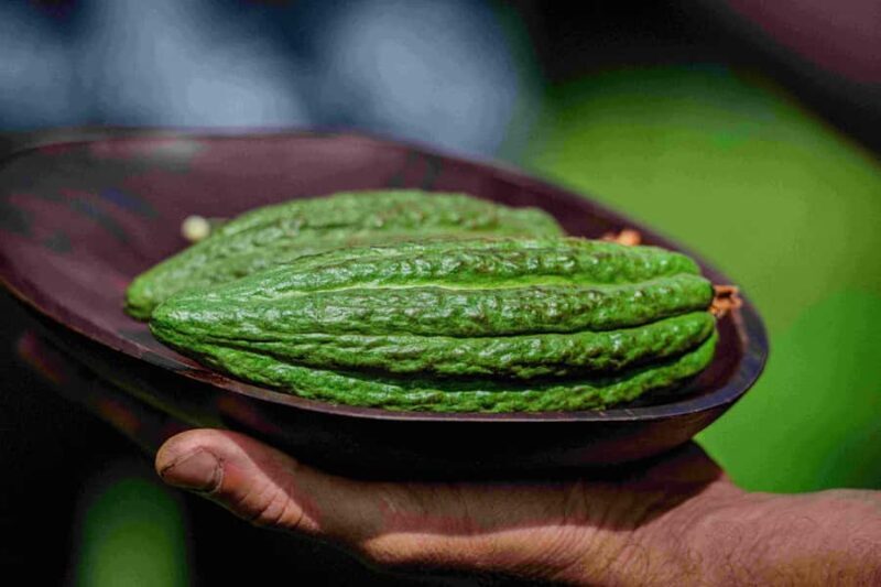 Hawaii: 10 Bar Chocolate Tasting & History of Chocolate - The Sum Up: A Delicious, Authentic Slice of Hawaii