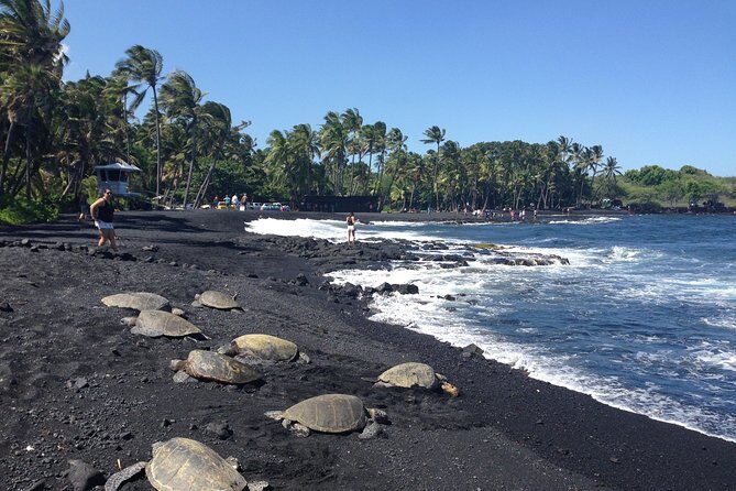 Hawaii Big Island Circle Small Group Tour: Waterfalls - Hilo - Volcano - Black Sand Beach - Introduction