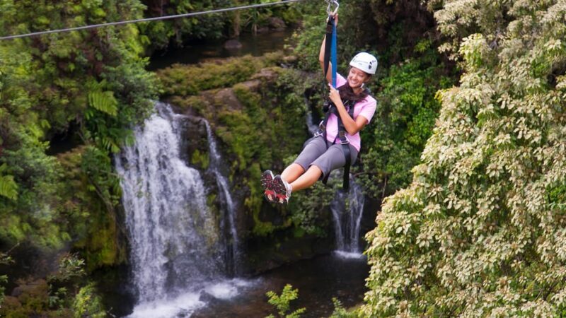 Hawaii: Big Island Hilo Zipline Tour - Safety and Accessibility