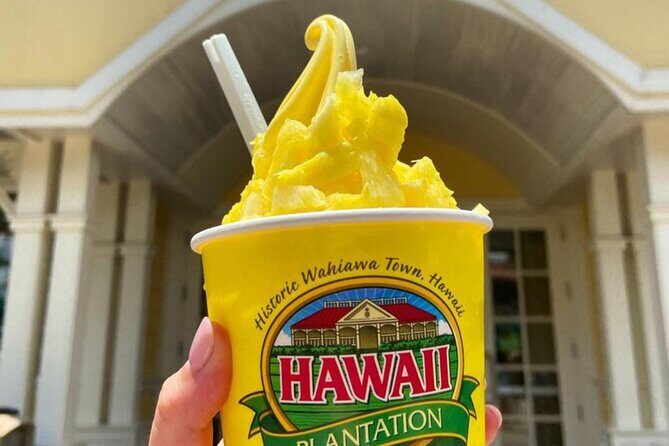 Hawaii Circle Island Tour - What Travelers Say and What to Expect