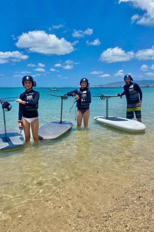 Hawaii: Electric Hydrofoil Surfing Group Lesson - An Overview of the eFoil Experience in Hawaii