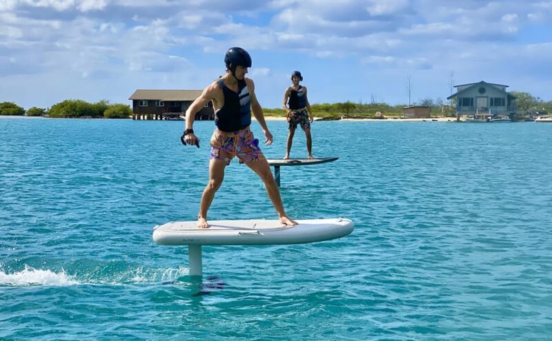 Hawaii: Electric Hydrofoil Surfing Group Lesson - Who Will Benefit Most?