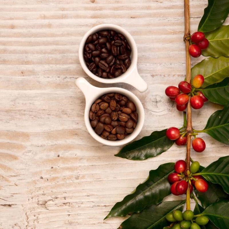 Hawaii Hala Tree Coffee: Coffee Cupping Workshop - Introduction