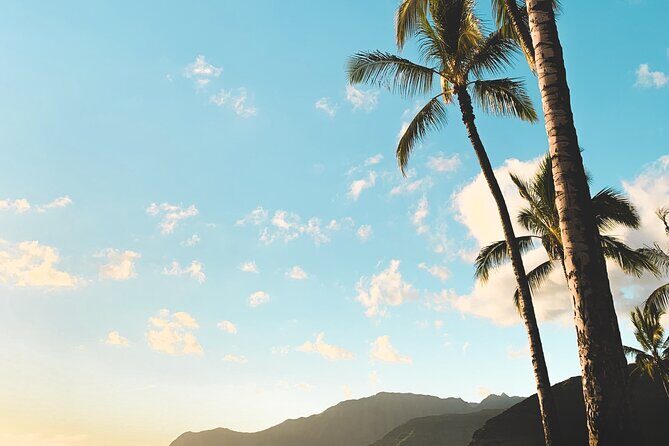 Hawaii, Oahu 1-Day Local Tour - A Detailed Look at the Tour Experience
