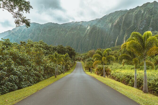 Hawaii, Oahu 1-Day Local Tour - Final Thoughts: Is It Worth It?