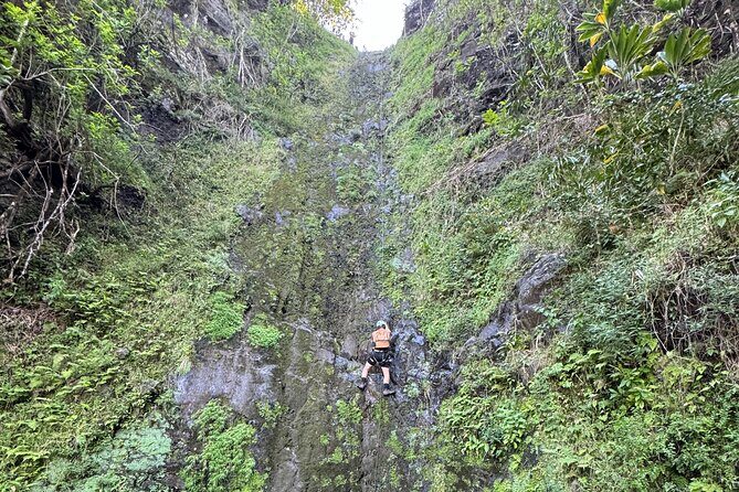 Hawaii Oahu Canyon Rappel & Hike Expedition Tour - What You Can Expect from the Tour